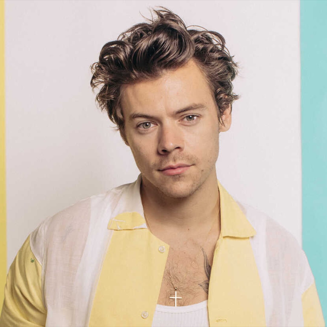 Harry Styles Dolby Harry Styles Dolby