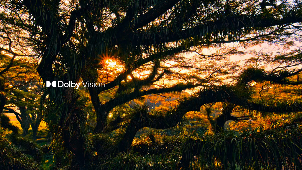 Dolby Vision - Official Site - Dolby
