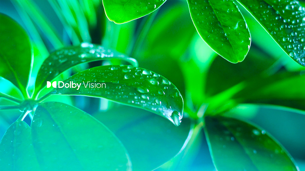 Dolby Vision - Official Site - Dolby